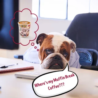 We feel you, buddy. But fear not, it's never too late to treat yourself ...